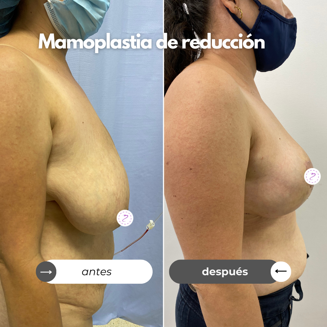 Galería Dra Bibiana Mendoza